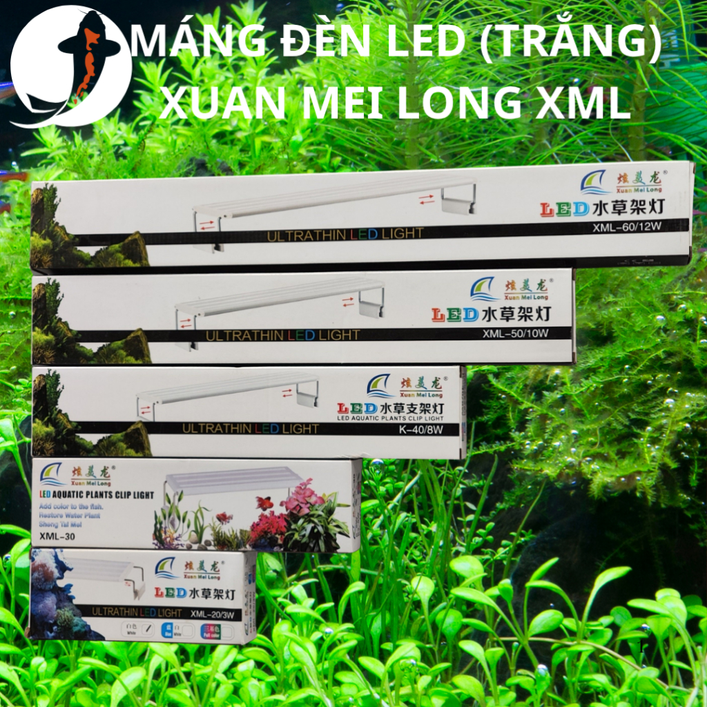 Máng Đèn LED Xuan Mei Long XML-20, XML-30,XML-40,XML-50,XML-60,XML-80 ...