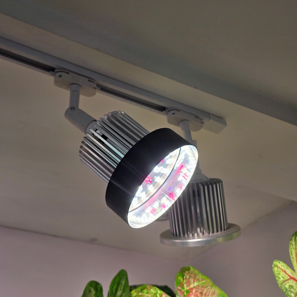 Chao đèn in 3D chống chói đèn LGL 50W | Shopee Việt Nam