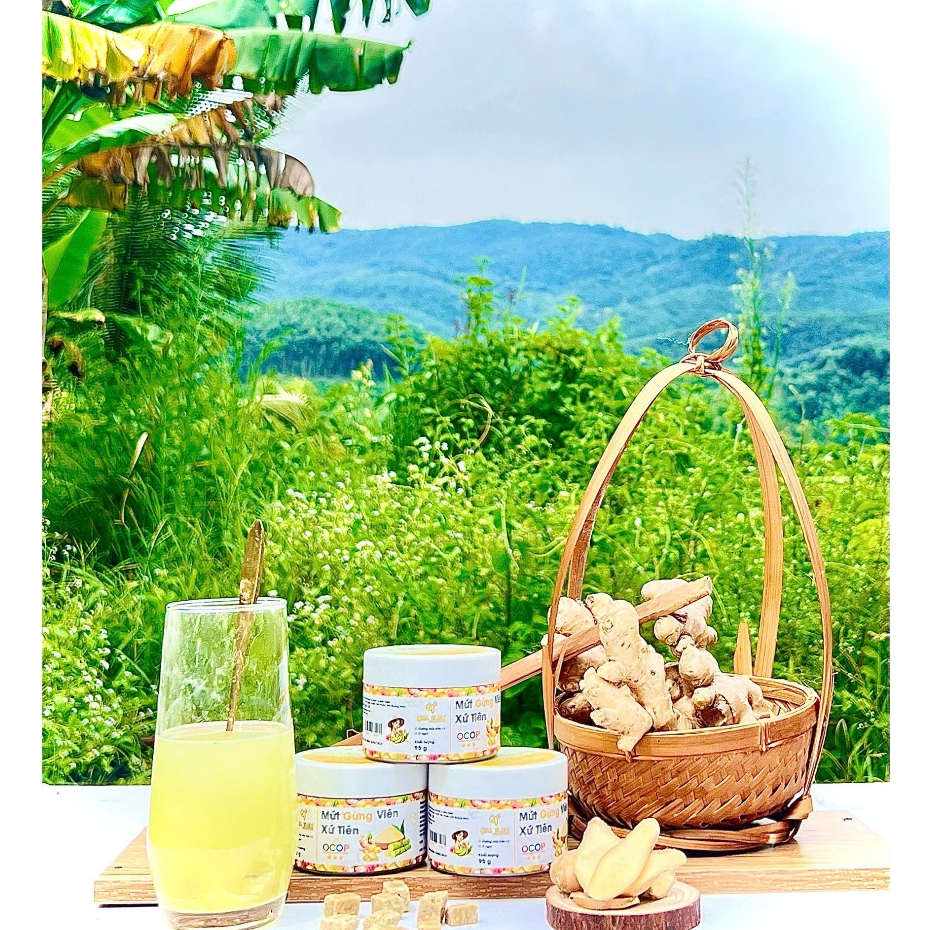 [CHÍNH HÃNG] Mứt Gừng Viên QNA Farm, Gừng Rừng Tự Nhiên, Vị Cay Nhẹ ...