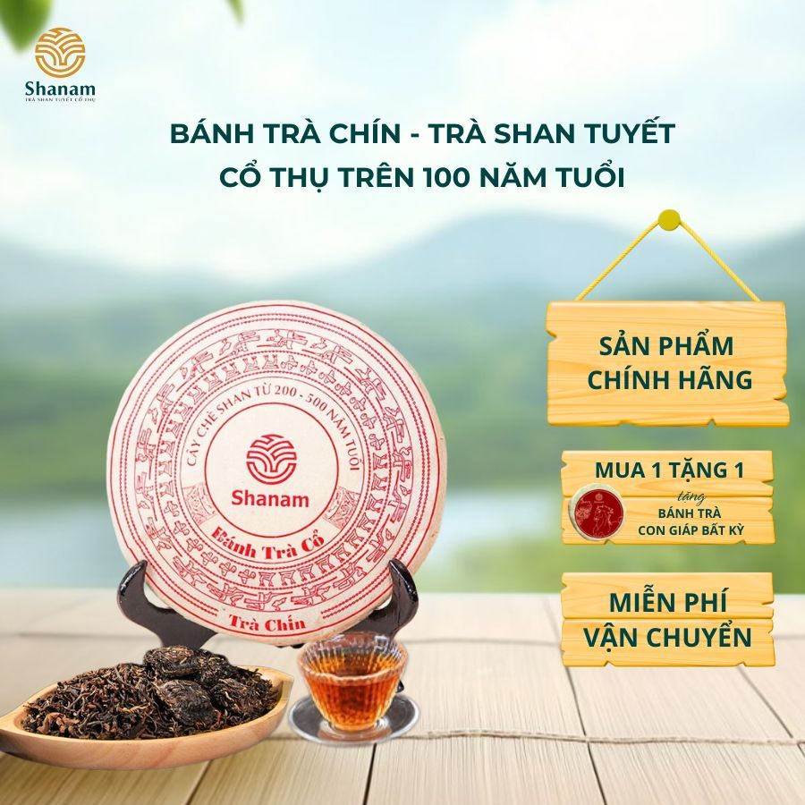 Bánh Trà Chín Shanam - Trà Shan Tuyết Cổ Thụ Việt Nam Trên 100 Năm Tuổi ...