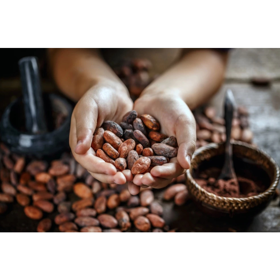 Hạt cacao lên men sấy khô DEVA(Cocoa Bean) 500 g làm bánh,làm socola ...