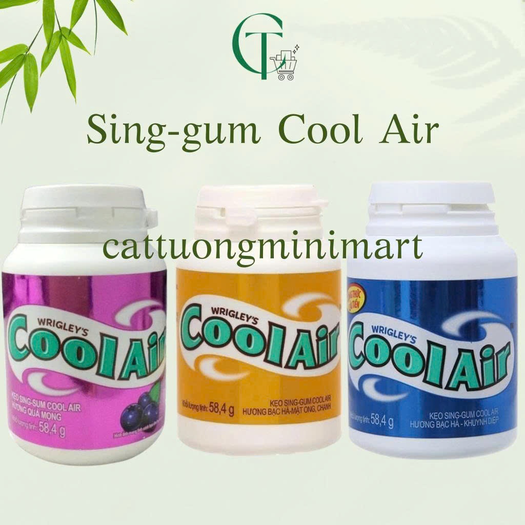 Combo 6 hũ kẹo cao su, Sing-gum Cool Air Candy (40 viên x 6 hũ ...