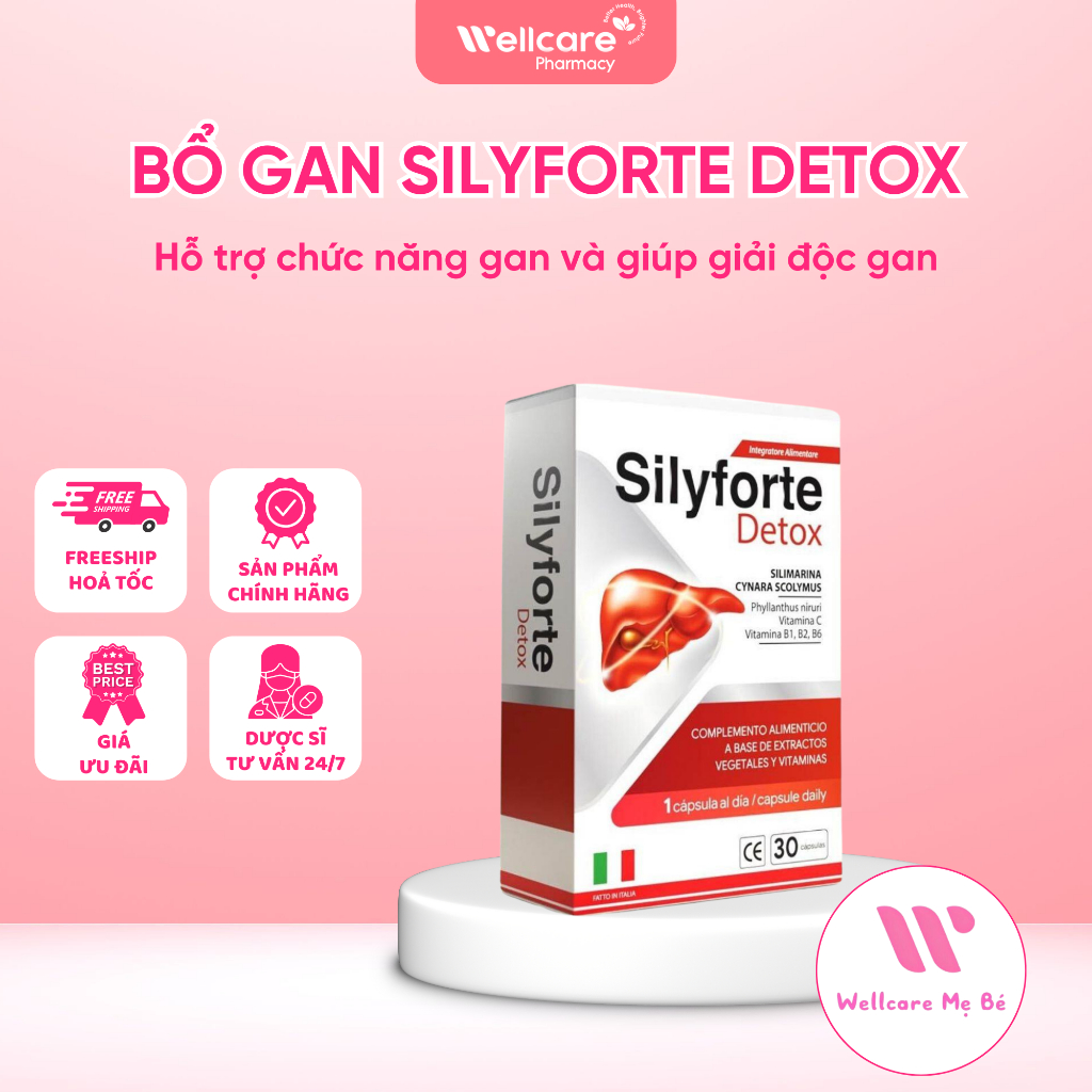 [⭐CHÍNH HÃNG] SILYFORTE DETOX HỖ TRỢ CHỨC NĂNG GAN, GIẢI ĐỘC GAN - HỘP ...