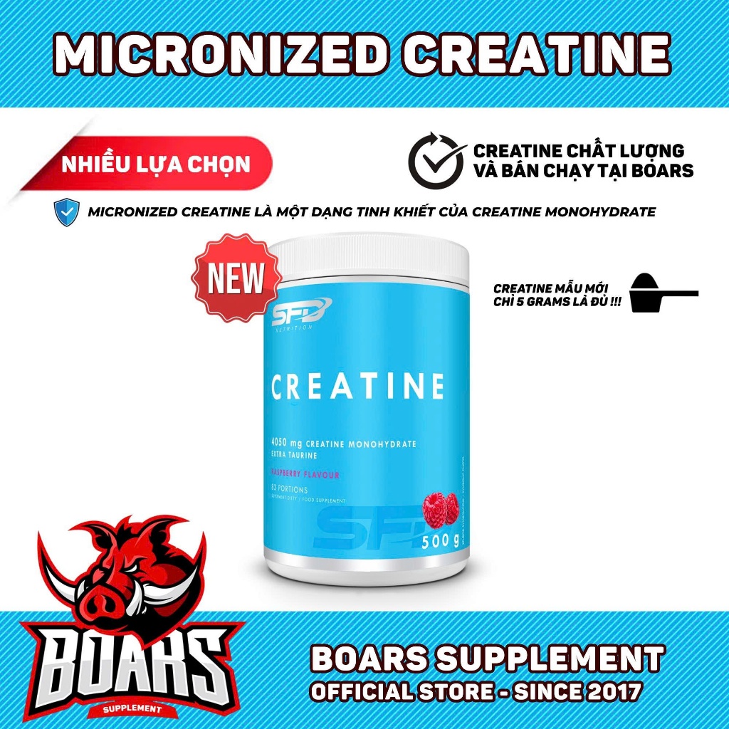 SFD CREATINE 500G | Shopee Việt Nam