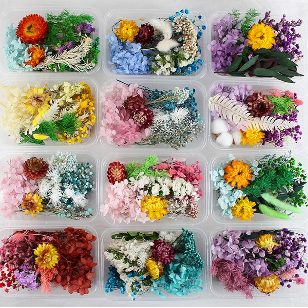 Hoa Khô Mix Tổng Hợp, Nguyên Liệu Trang Trí, Làm Handmade, Resin, Nến ...