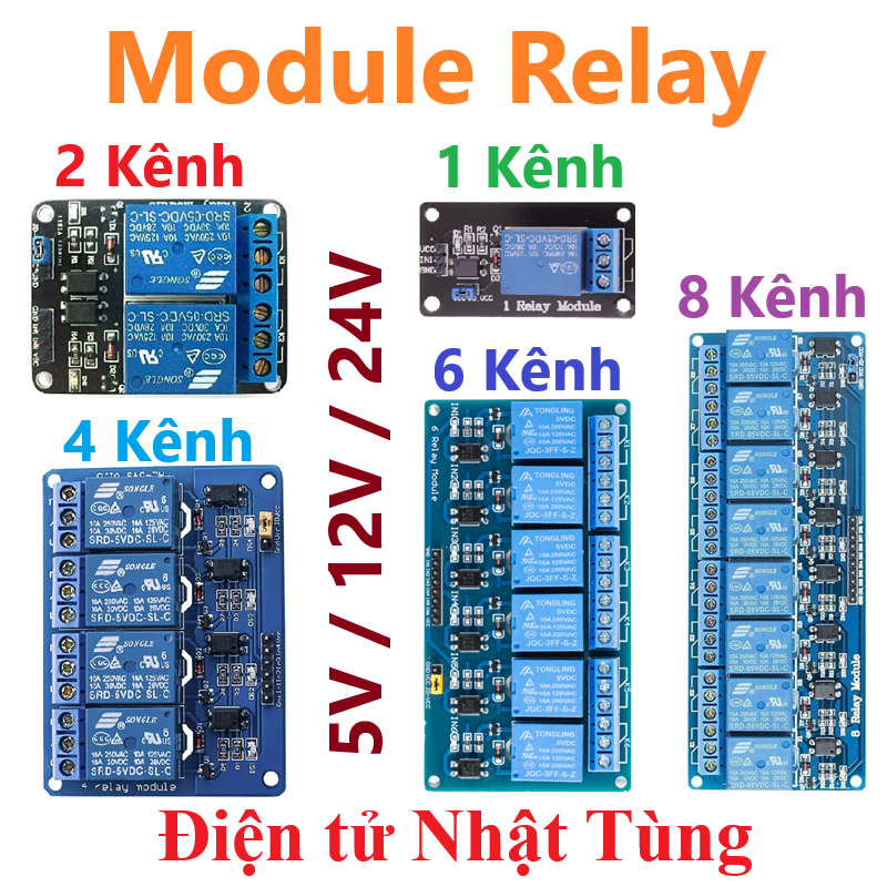 Module Relay 5V / 12V / 24V 10A 1 Kênh + 2 Kênh + 4 Kênh + 6 Kênh + 8 ...