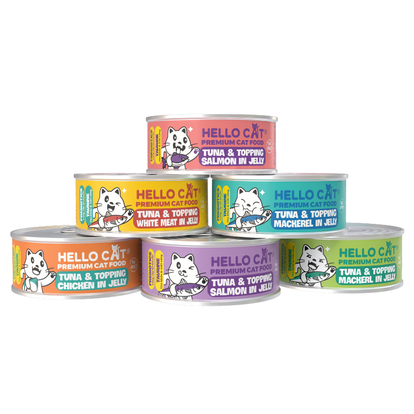 Thức ăn pate cho mèo mọi lứa tuổi trong thạch Hello Cat Jelly dạng lon 160g thơm ngon | Shopee ...