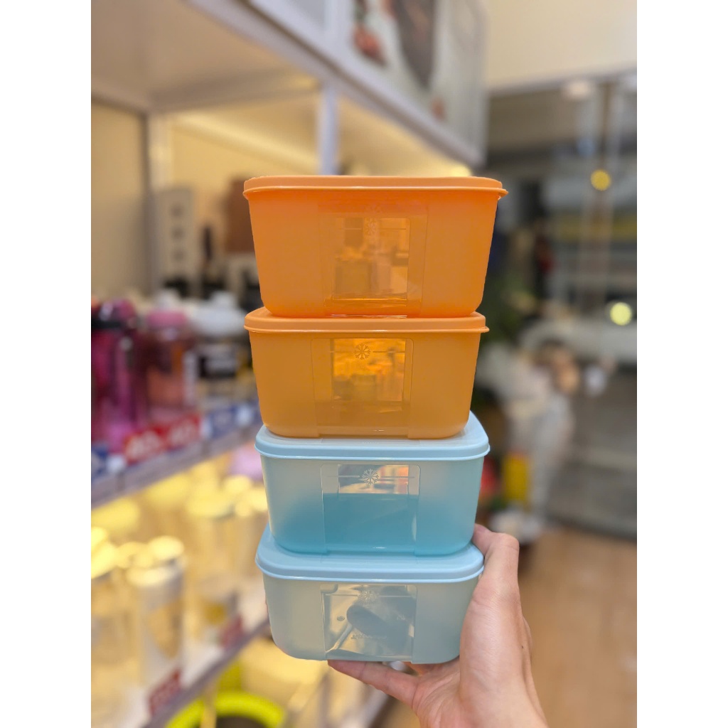 Bộ hộp trữ đông 650ml màu sắc rainbow Tupperware, chính hãng | Shopee ...