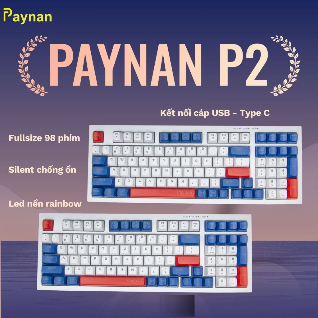 Bàn phím văn phòng P2 Paynan chống ồn kết nối cáp rời 98 phím đèn led ...