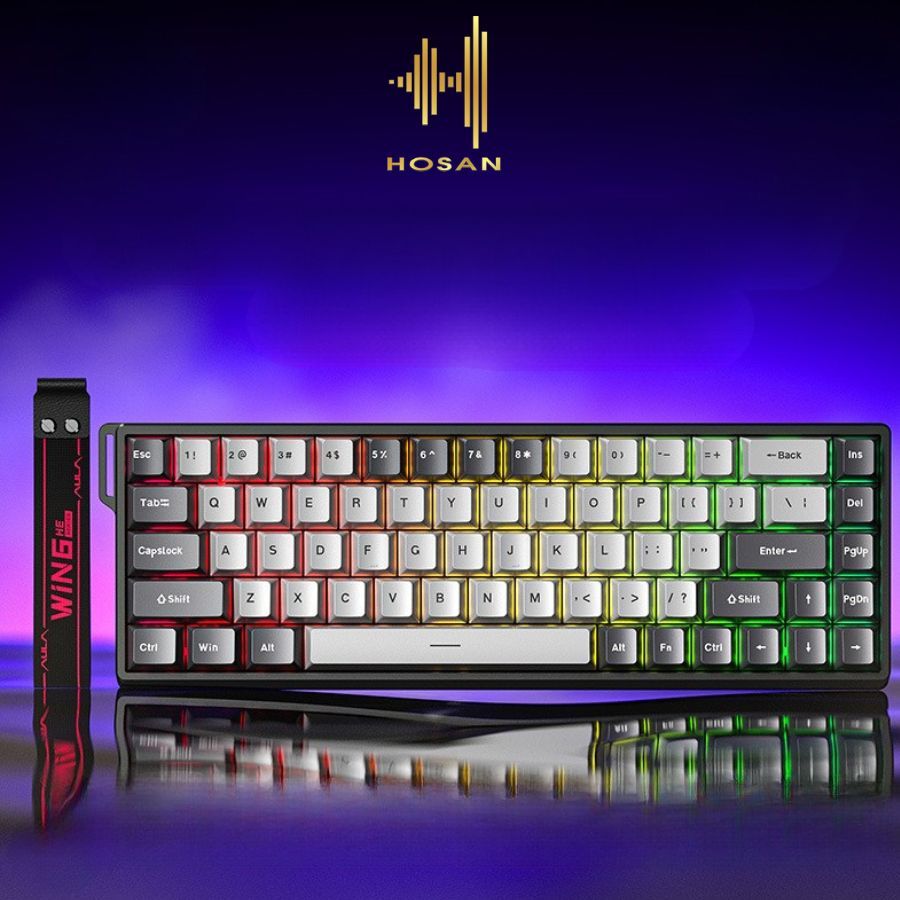 Bàn Phím Cơ Gaming HOSAN AULA Win68 HE Pro Có Dây Với 68 Phím Cơ Ấn ...