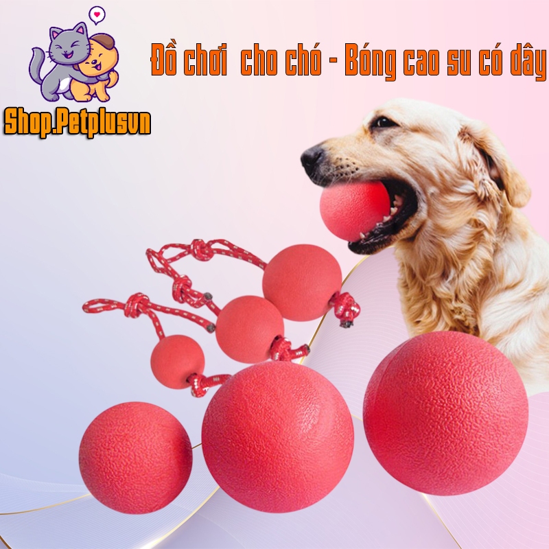 Đồ chơi bóng cao su có dây I Dụng cụ huấn luyện cho chó | Shopee Việt Nam