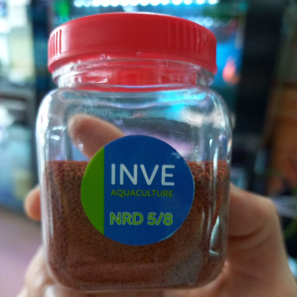 cám inve NRD 5/8 hộp 65g | Shopee Việt Nam