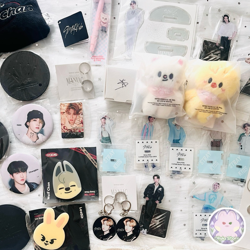 [OFF] Tổng hợp các goods merch của Stray Kids | Shopee Việt Nam