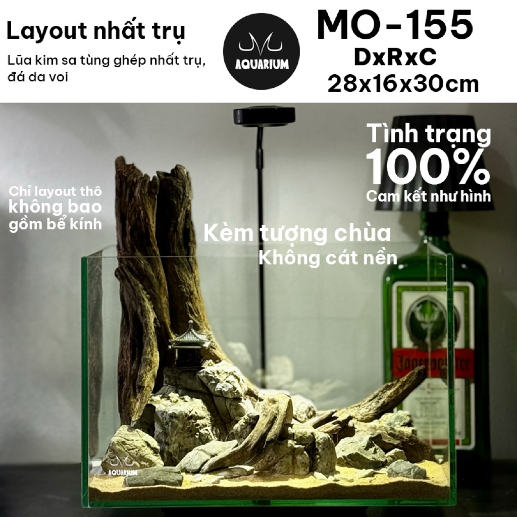 Layout lũa san đá phong cách Nature, Nhất trụ - Bể cá thủy sinh 30cm để ...