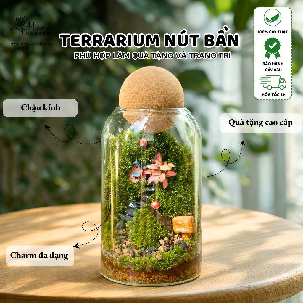 Terrarium Nút Bần – Phong Cảnh - Phù Hợp Làm Quà Tặng và Trang Trí ...