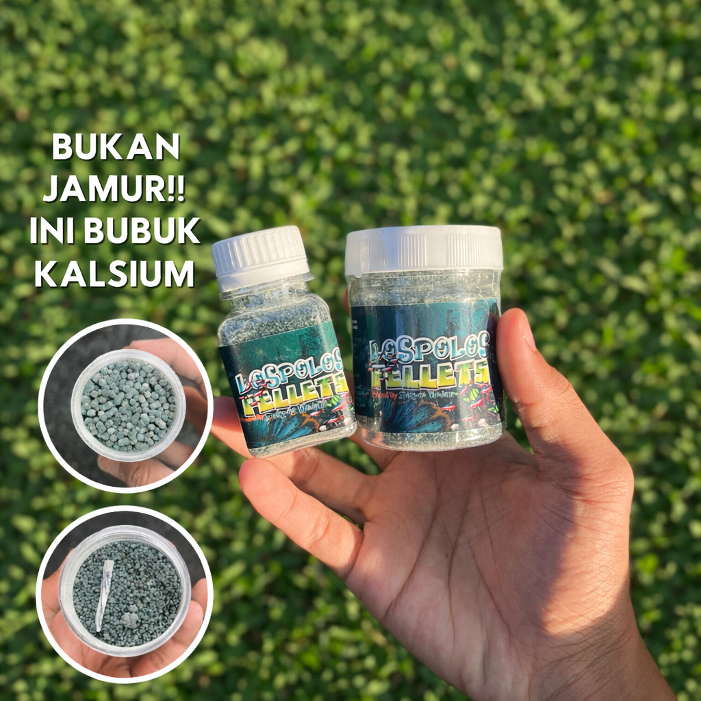 Cám LOSPOLOS Indonesia cho cá lóc lạnh cao cấp giúp trắng viền rõ ...