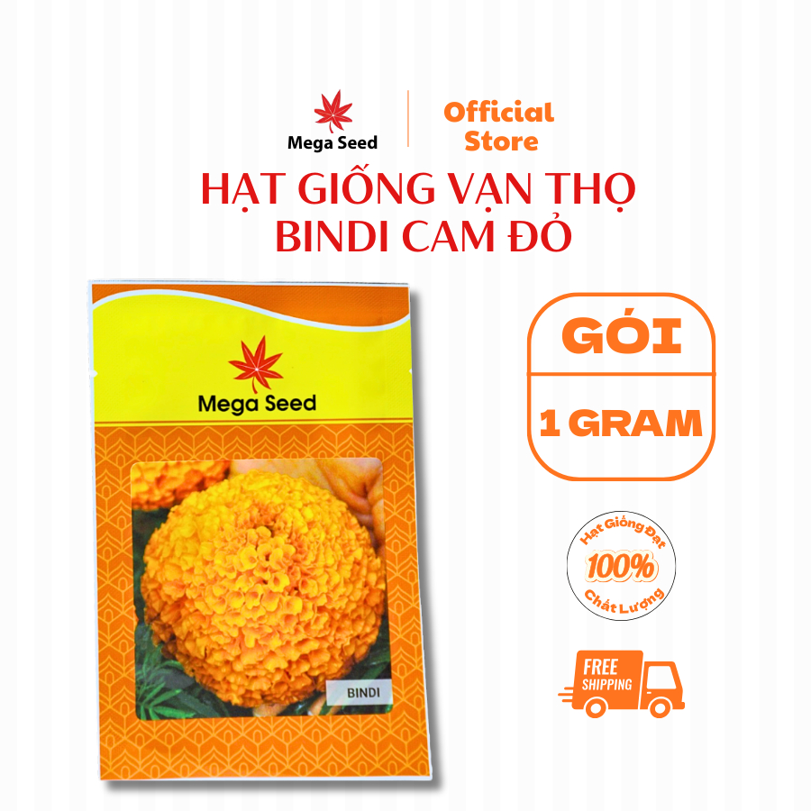 Hạt giống Mega Seed hoa vạn thọ Bindi Thái F1 cam đỏ cổ lùn – Mega ...