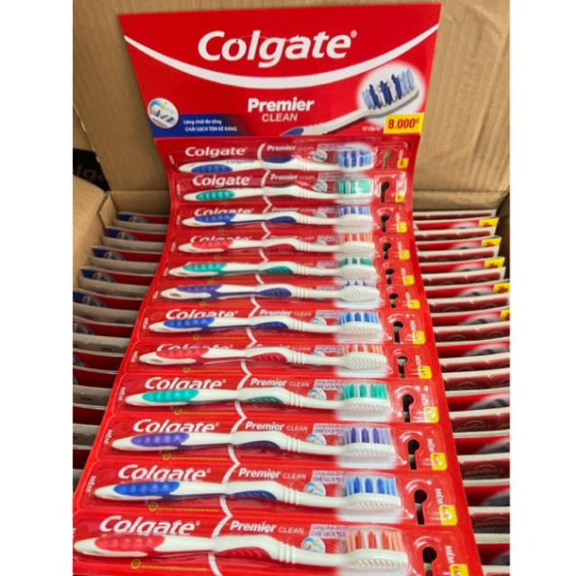 combo 24 cây bàn chải Colagte lông cứng | Shopee Việt Nam