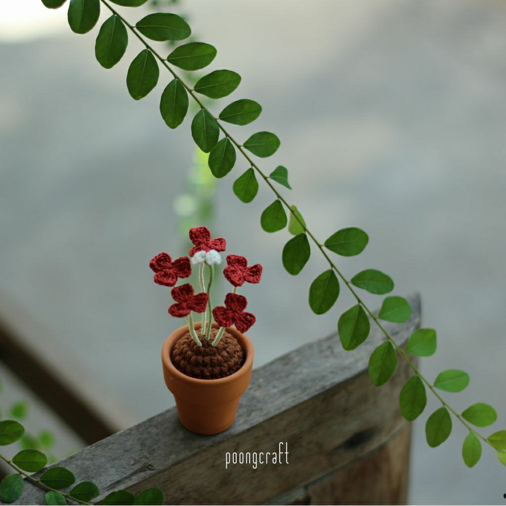 chậu cây cỏ ba lá tía (oxalis triangularis) móc thủ công (3.5x8cm ...