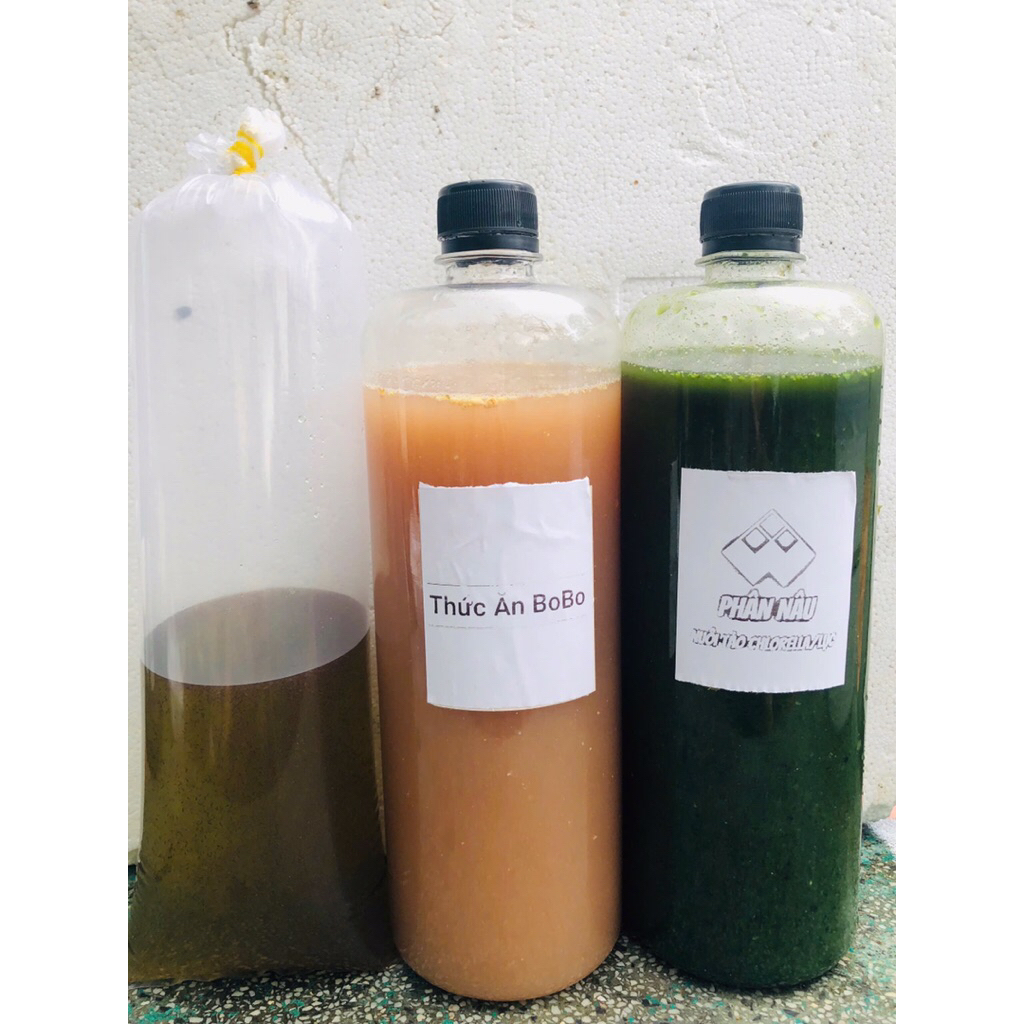 COMBO NUÔI BOBO SIÊU TĂNG TỐC (500ml bobo+ 1lít phân tạo tảo+ 1lít thức ...
