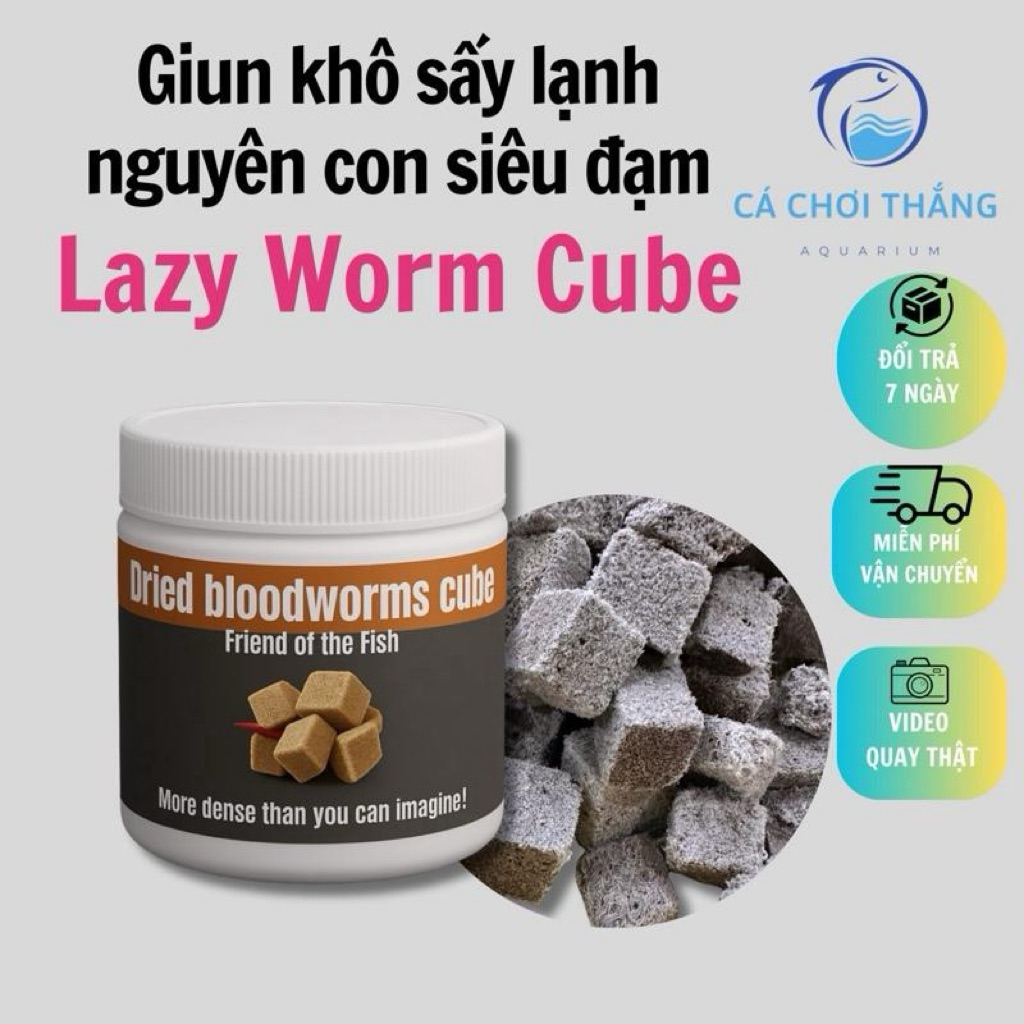 Trùng huyết sấy lạnh Lazy Worm Cube(30g)-Giữ nguyên hàm lượng dinh ...