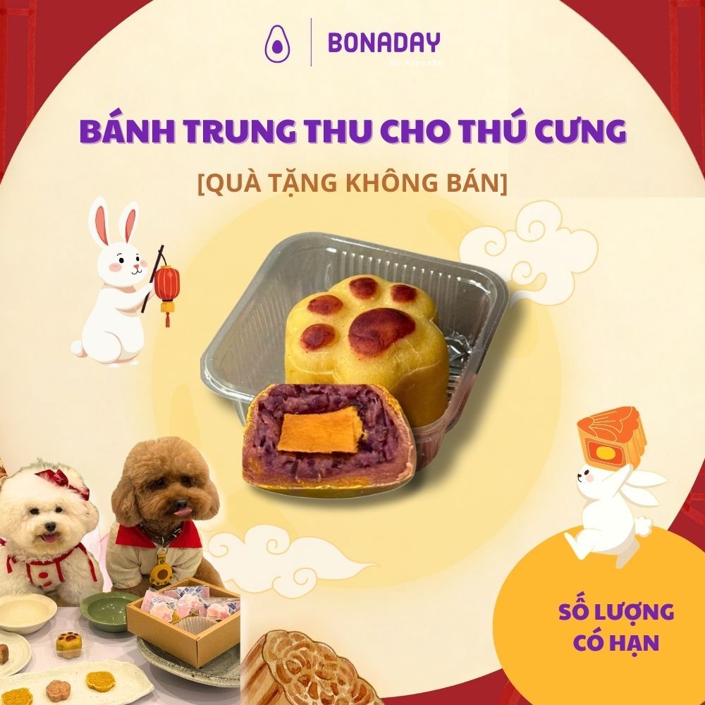 [QUÀ TẶNG KHÔNG BÁN] BÁNH TRUNG THU CHO THÚ CƯNG | Shopee Việt Nam