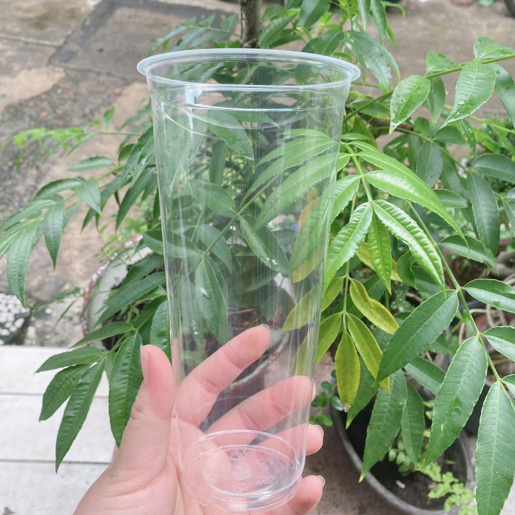 CHỈ Ly tim mềm nhựa UKP 500ml, 700ml trong suốt, mờ phi 90, nắp tim ...