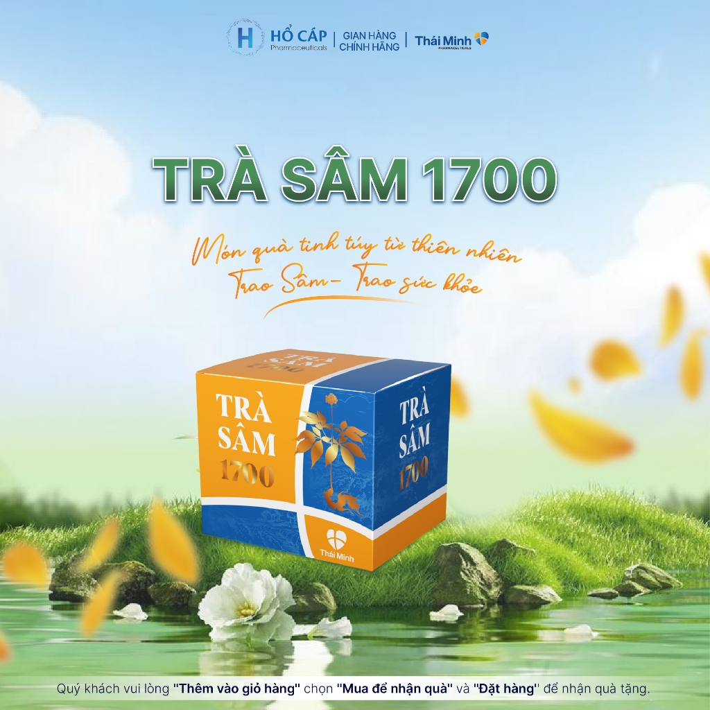 Trà Sâm 1700 - Hộp 20 gói trà sâm Lai Châu | Shopee Việt Nam