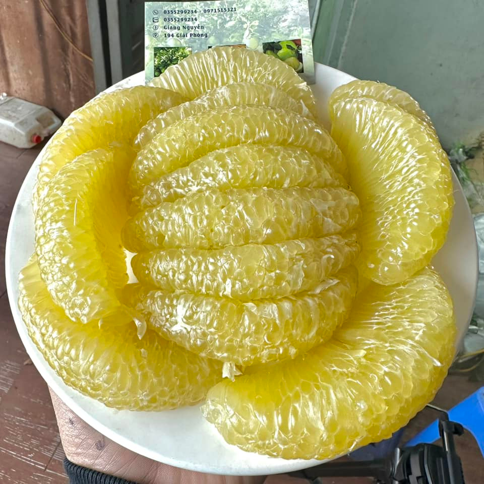 Bưởi 5 roi chuẩn Mỹ Hoà - Vĩnh Long Size to 8-1kg | Shopee Việt Nam