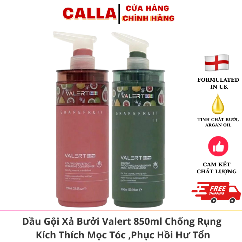 Dầu Gội Xả Bưởi Valert Grapefruit 850ml Giảm Rụng Tóc, Nuôi Dưỡng Nang ...