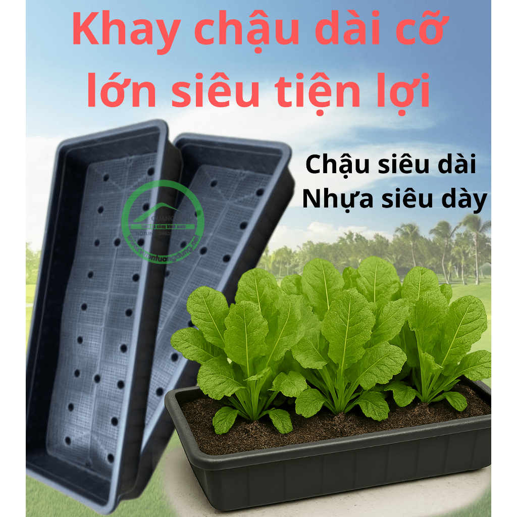 COMBO 10 Khay trồng rau cỡ lớn nhựa PP, Chậu trồng rau thông minh 102x42x16 cm kèm vỉ thoát nước ...