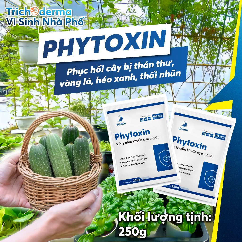 Chế phẩm vi sinh Phytoxin Dế Mèn - Ngăn ngừa thán thư, vàng lá, héo ...