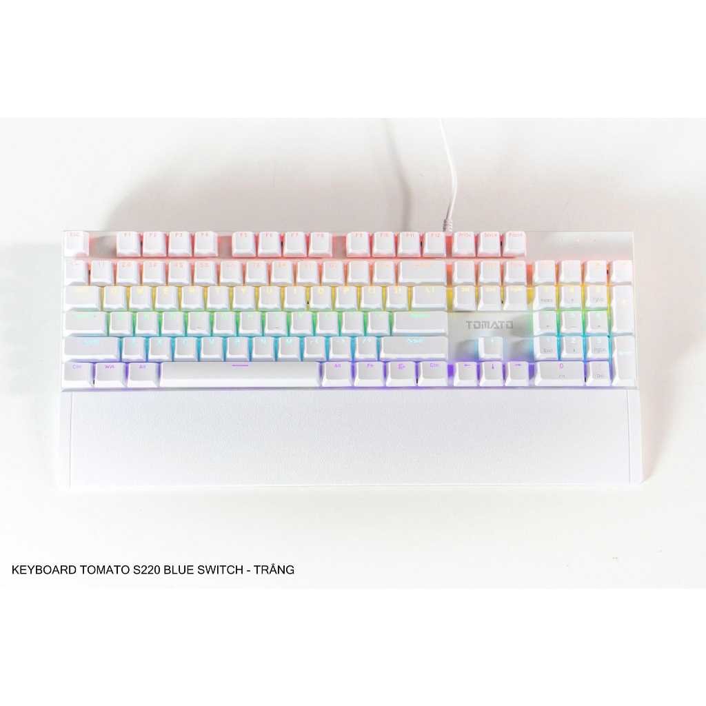 Bàn Phím Cơ TOMATO S220 Blue Switch | Trắng / Đen | LED RGB | Chính ...