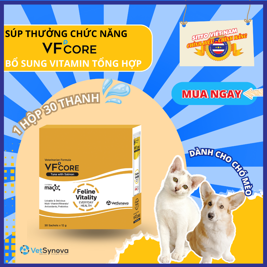 Súp thưởng VF+Core Feline Vitality cho mèo trên 2 tháng tuổi – Bổ sung ...