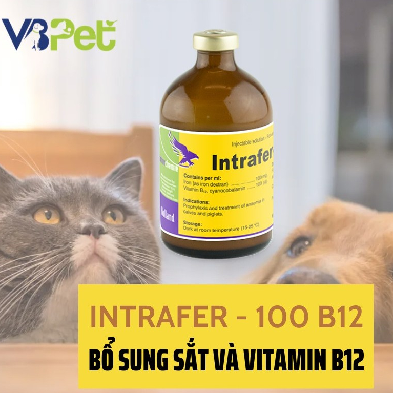 Intrafer 100 B12 và Intrafer 200 B12 của Interchemie Hà Lan bổ sung sắt ...