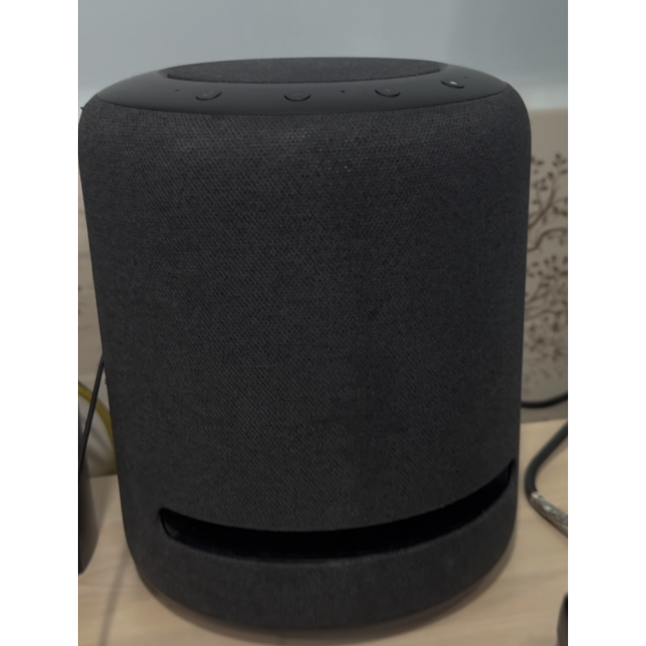 Loa amazon, Google, thương hiệu loa đã qua sử dụng... | Shopee Việt Nam