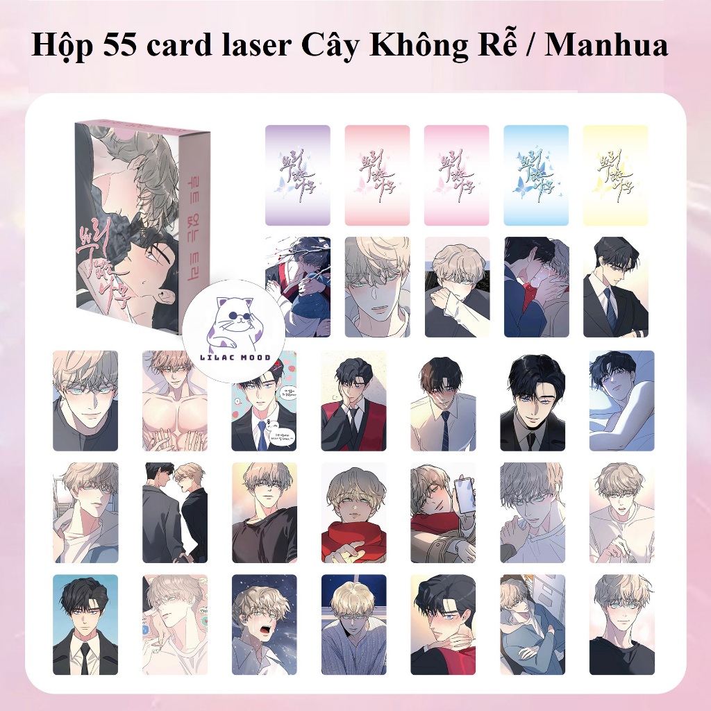 [SẴN-2 MẪU] Cây không rễ | Hộp thẻ card laser 55 tấm lomo lomocard nhân ...