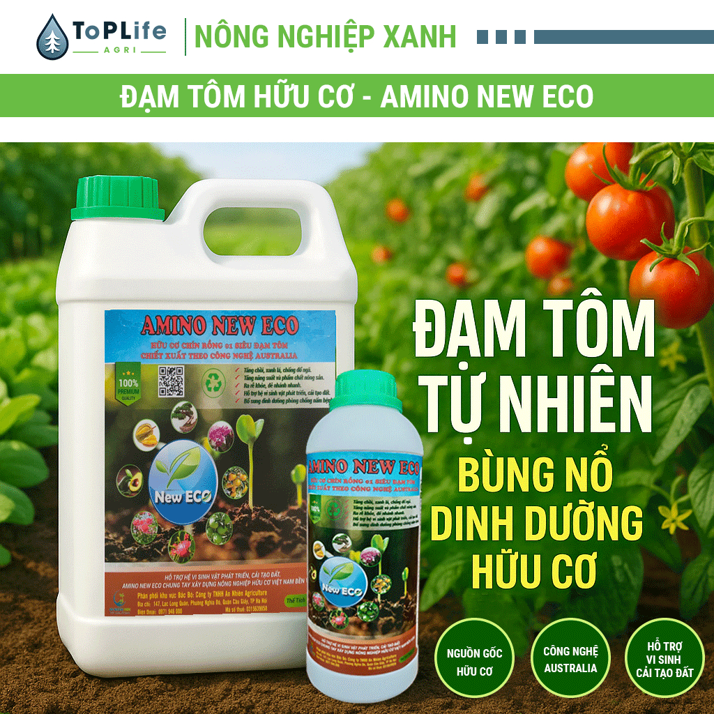 Đạm Tôm Hữu Cơ - Chai 1L - Chiết Xuất Từ Vỏ Tôm Với Chitosan & Axit ...