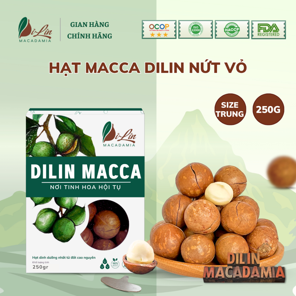Hạt Macca Lâm Đồng Size Trung | DiLin Macadamia - Lam Dong Macadamia ...