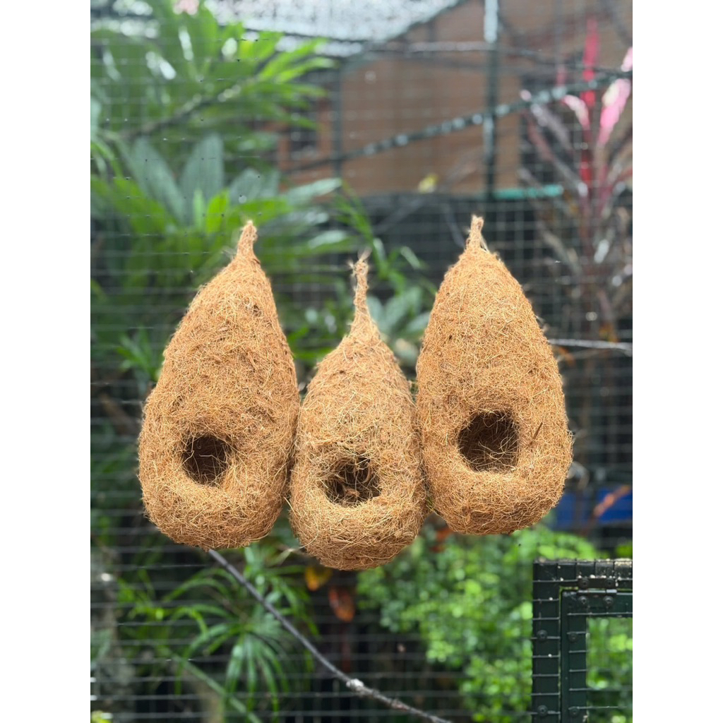 Tổ chim ĂN HẠT SINH SẢN (Decor & Trang Trí) | Shopee Việt Nam