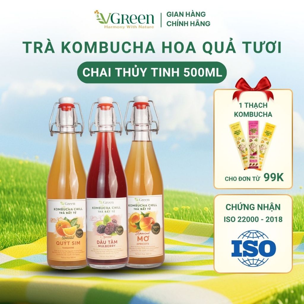 [CHỈ SHIP HỎA TỐC] VKOMBUCHA CHILL - Trà kombucha hoa quả tươi (chai ...