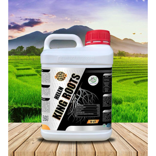 King Roots phân bón hữu cơ nhập khẩu Châu Âu - Can 5Lít pha 2500 lít ...