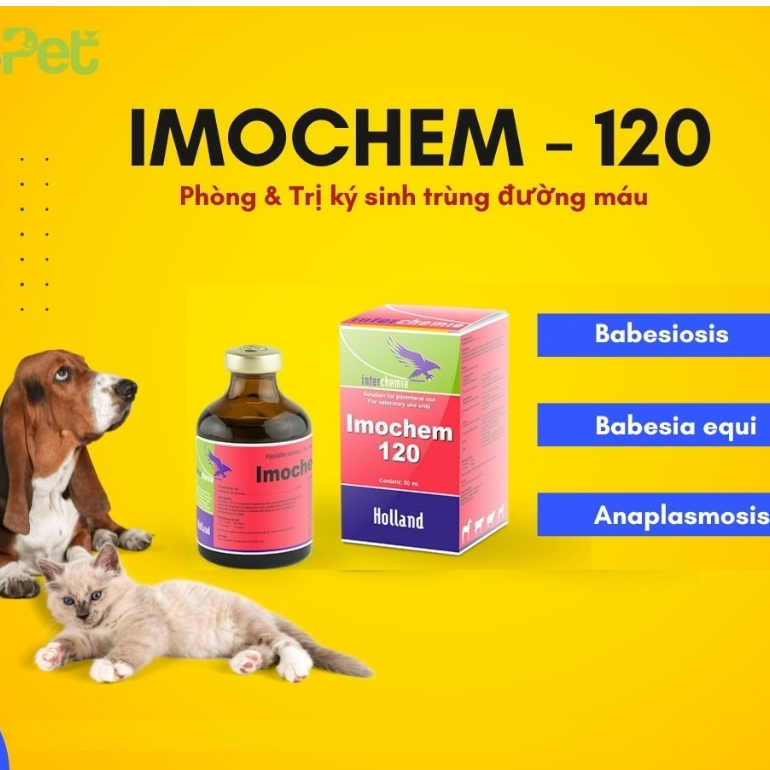BUTACHEM-50 hoặc IMOCHEM-120 – dung dịch thú y Interchemie – Hà Lan ...
