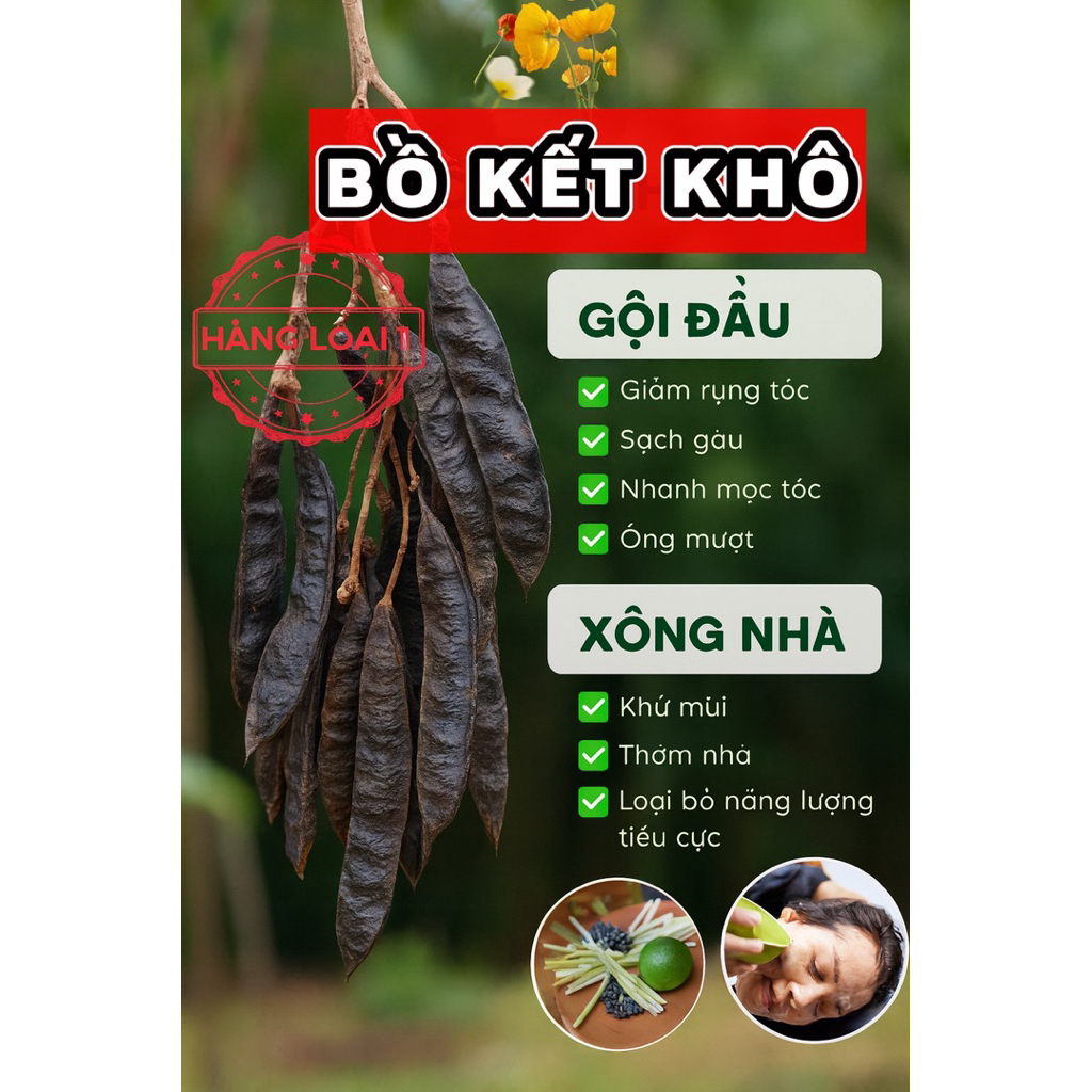 Bồ Kết Khô Quả To Mẩy Loại 1 Không Vỡ Dùng Gội Đầu, Xông Hơi, Khử Mùi ...