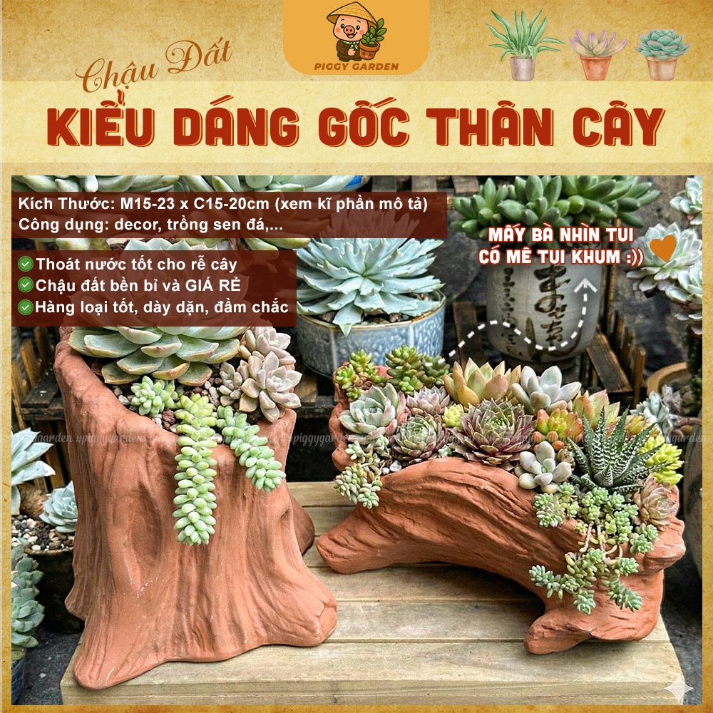 Chậu Đất Nung Kiểu Dáng Gốc Thân Cây Mộc - Trồng Cây Kiểng Lá, Sen Đá ...