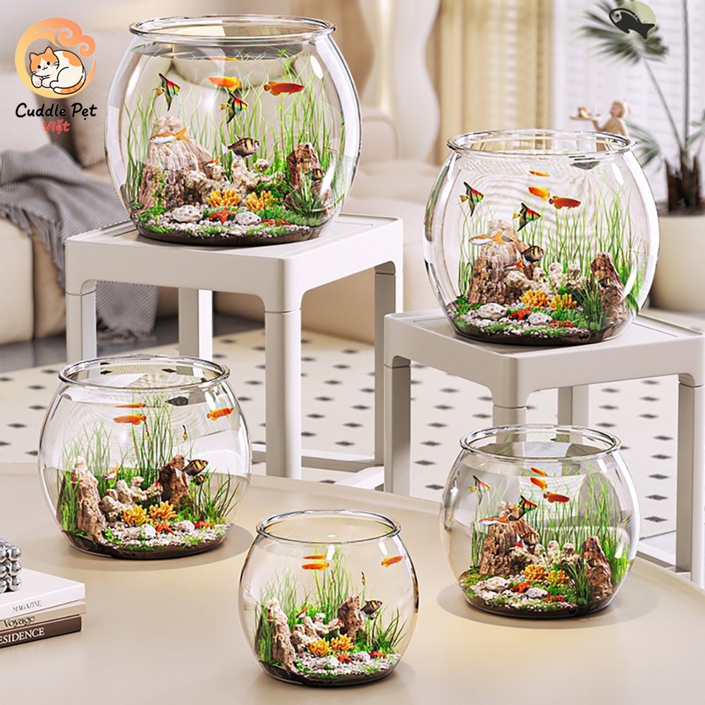 Cuddle Pet-Bể cá vàng nhỏ fish tank Bể thủy sinh chuyên dụng cho cá ...