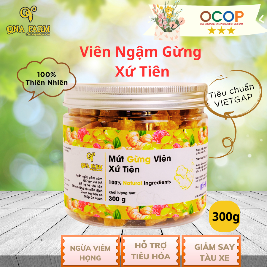 Mứt Gừng Viên 300g Ngừa Viêm Họng, Say Tàu Xe QNA Farm - Đạt Chuẩn OCOP ...
