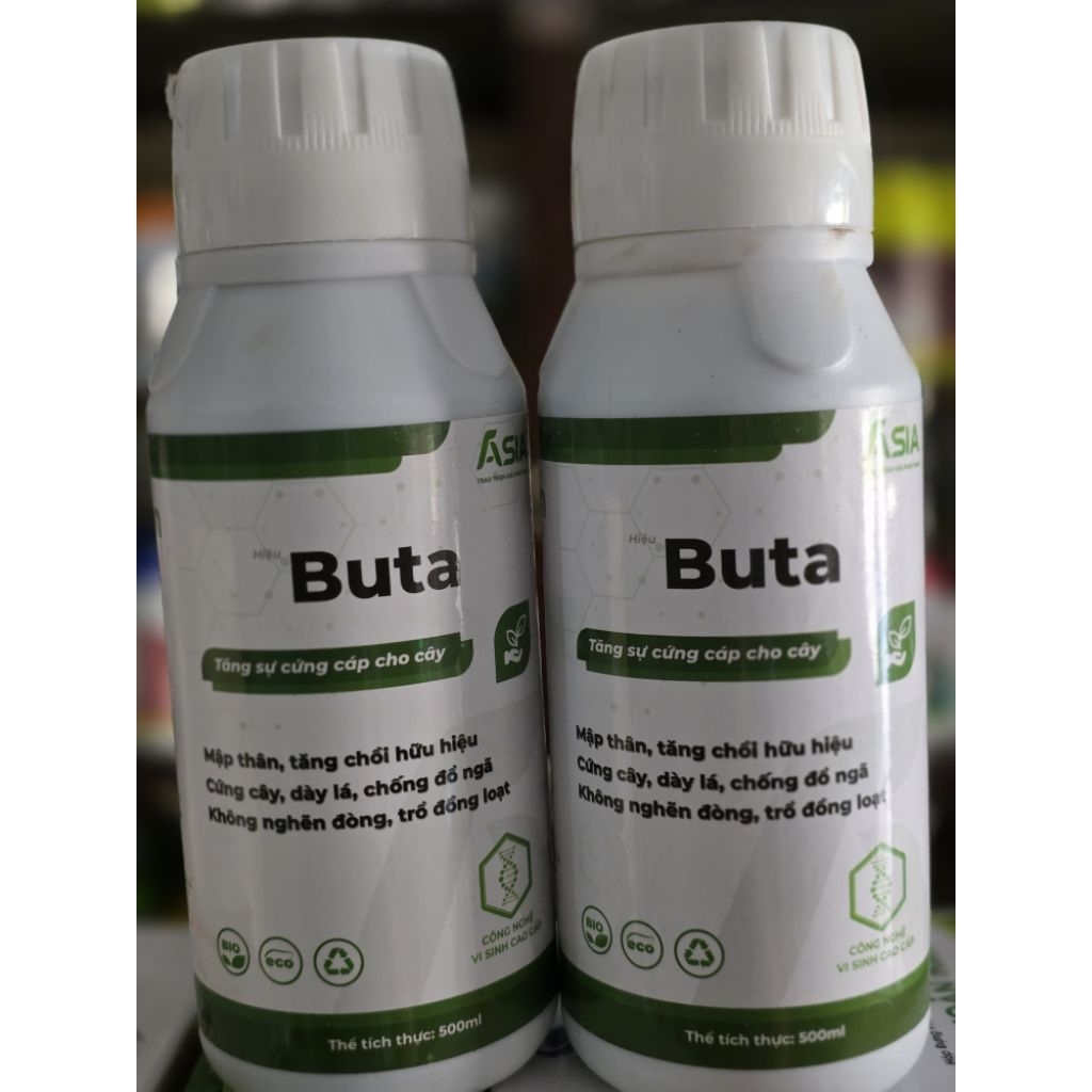 BUTA CỨNG CÂY LÚA, NỞ BỤI TO KHÔNG LO ĐỔ NGÃ | Shopee Việt Nam