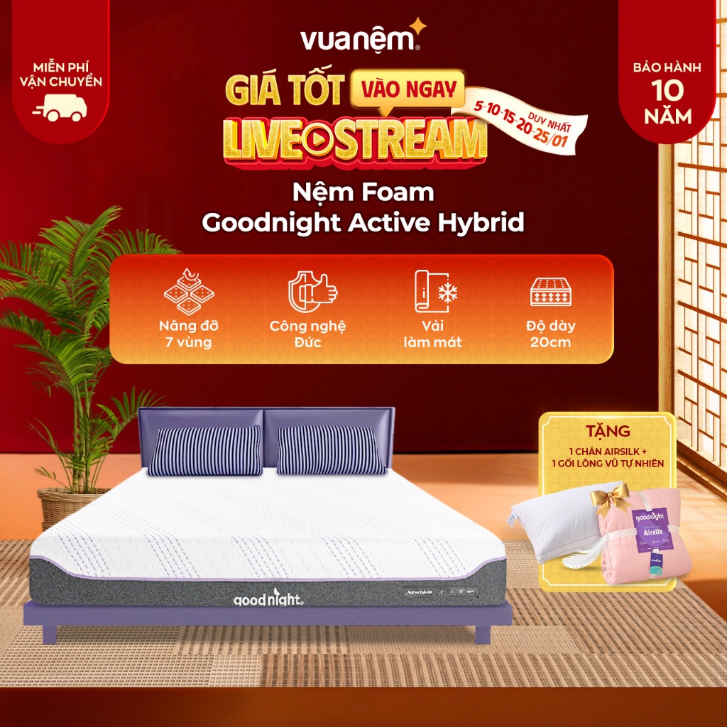 [19 - 20.1 TẶNG GỐI & CHĂN] Nệm Cao Su Foam Goodnight Active Hybrid ...