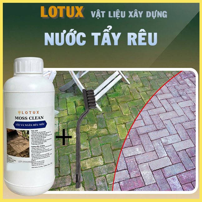 Dung dịch tẩy rêu mốc kèm cọ, tẩy rêu trên tường trên nền gạch xi măng ...